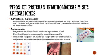 PRUEBAS INMUNOLOGICAS.pptx inmunologia ll | PPTX