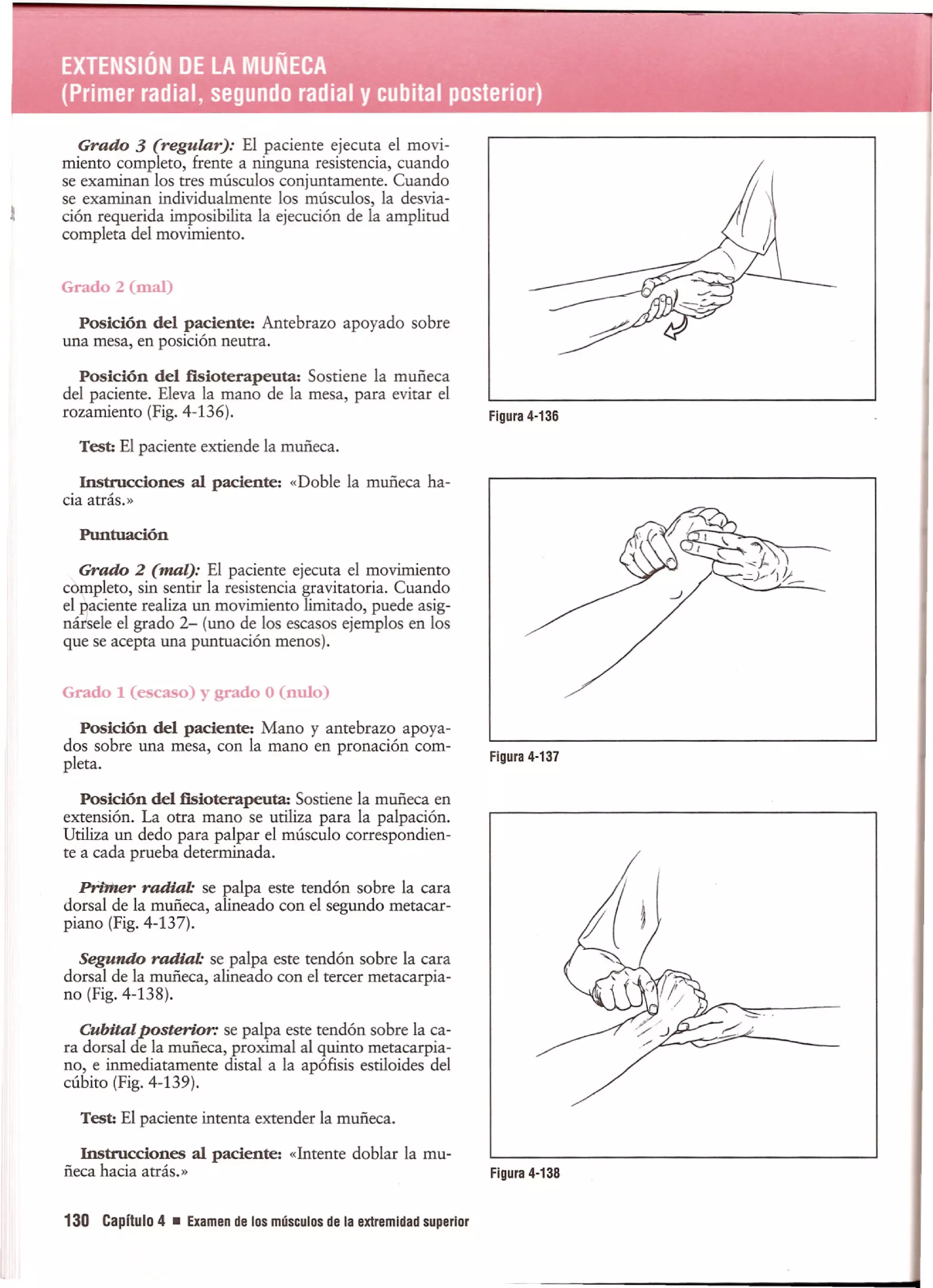 Pruebas Funcionales Musculares Daniels 6a Edicion | PDF