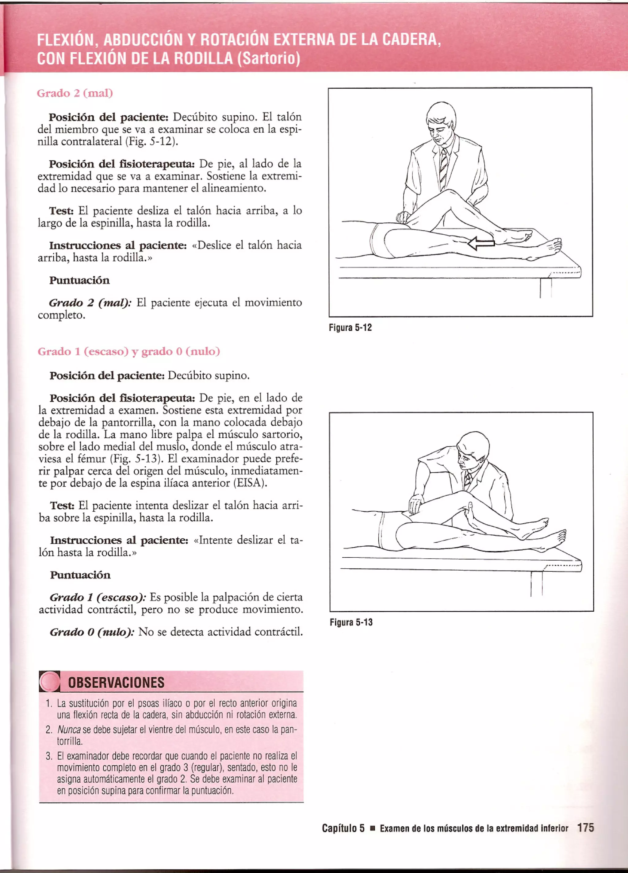 Pruebas Funcionales Musculares Daniels 6a Edicion | PDF