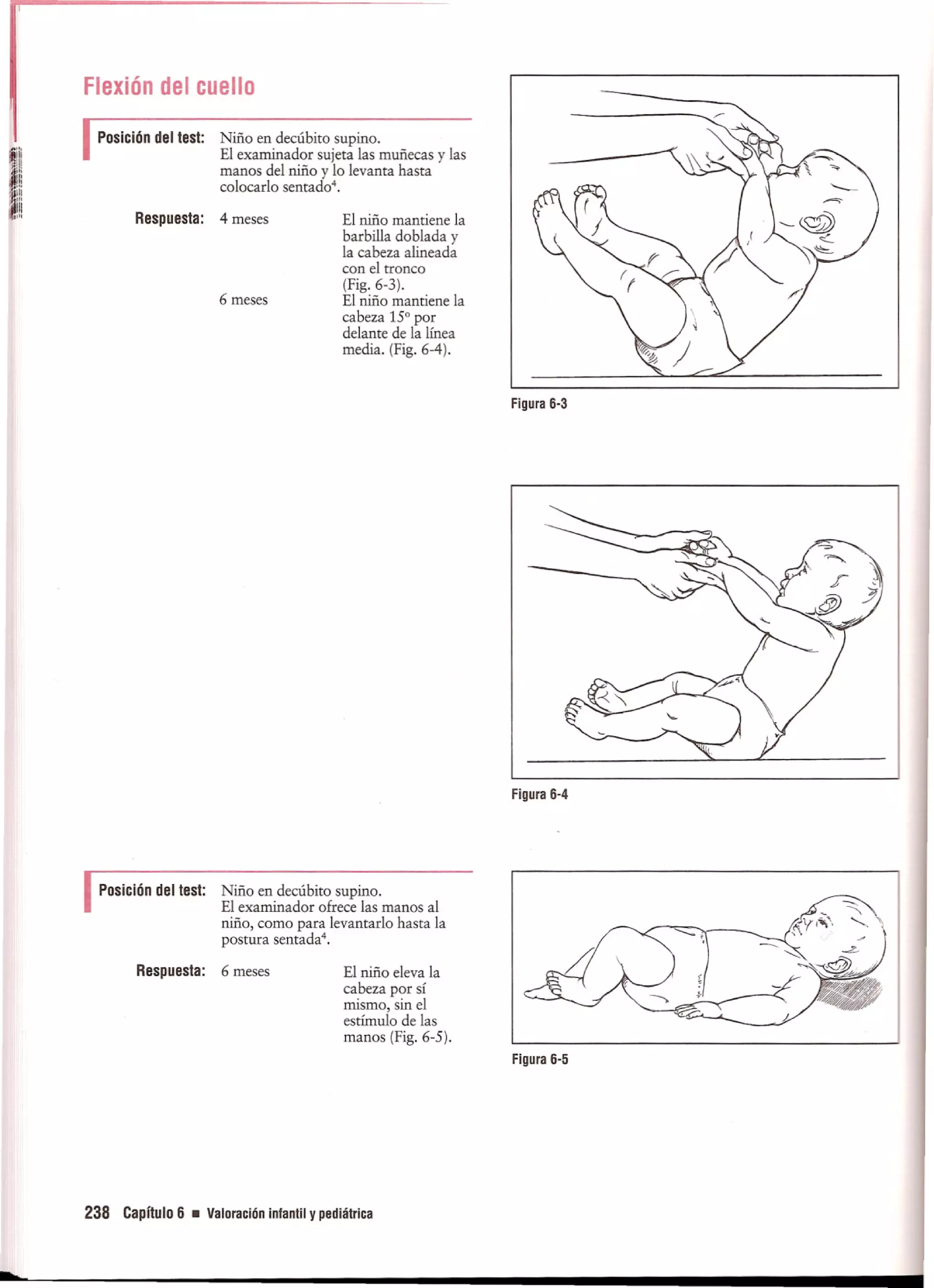 Pruebas Funcionales Musculares Daniels 6a Edicion | PDF