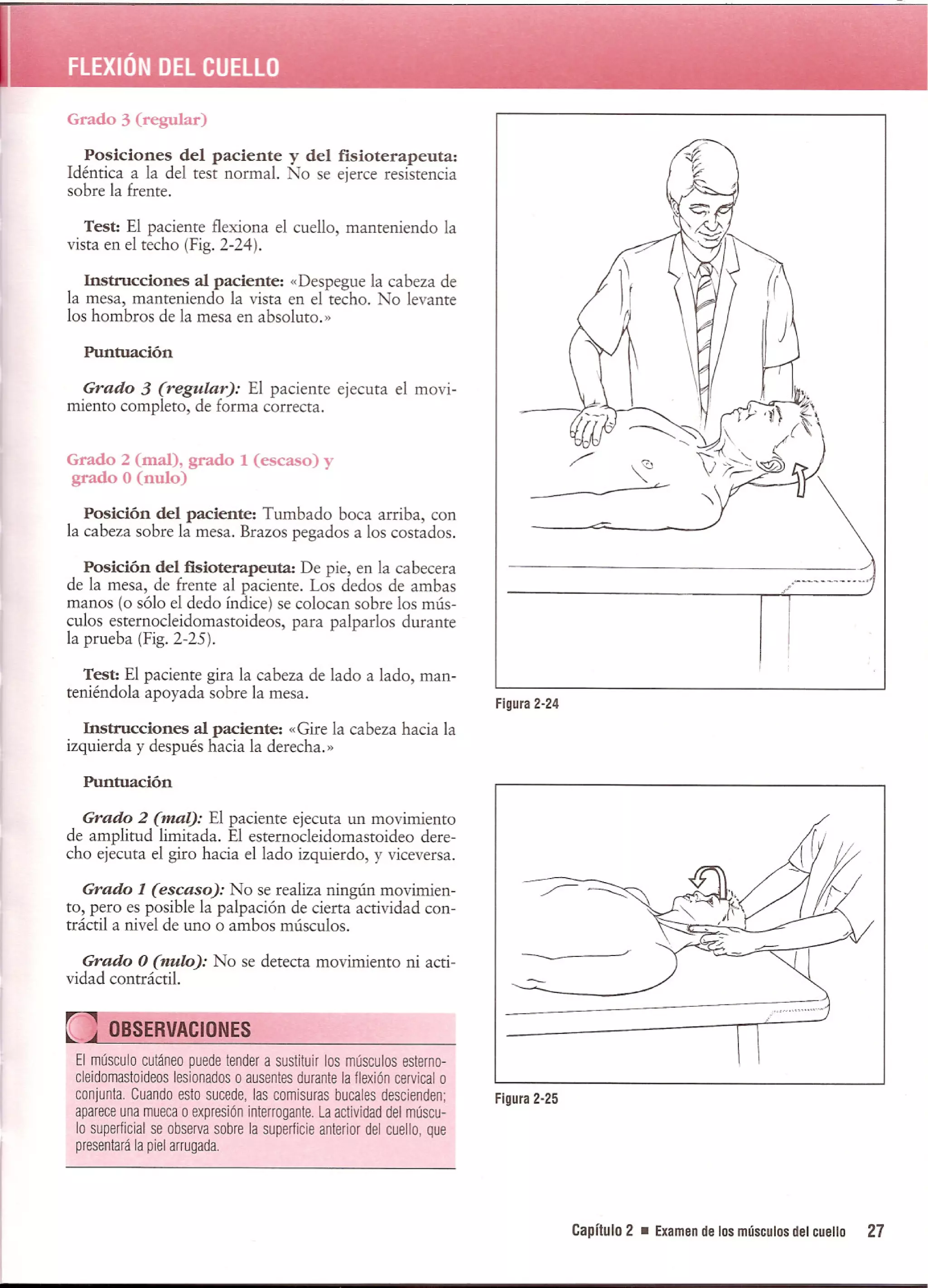 Pruebas Funcionales Musculares Daniels 6a Edicion | PDF