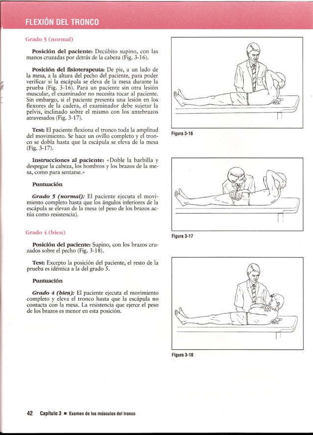 Pruebas Funcionales Musculares Daniels 6a Edicion | PDF