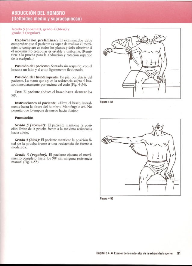 Pruebas Funcionales Musculares Daniels 6a Edicion | PDF