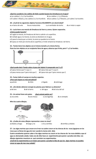 Prueba tipo simce primer ciclo | DOC