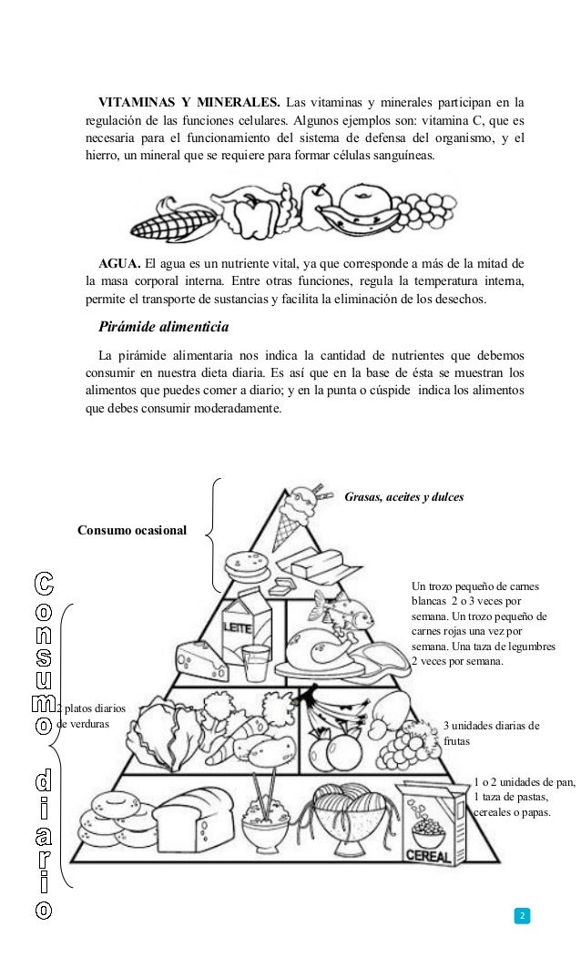 Prueba unidad n° 3 alimentación saludable 3º básico en 2020 | Vitaminas ...