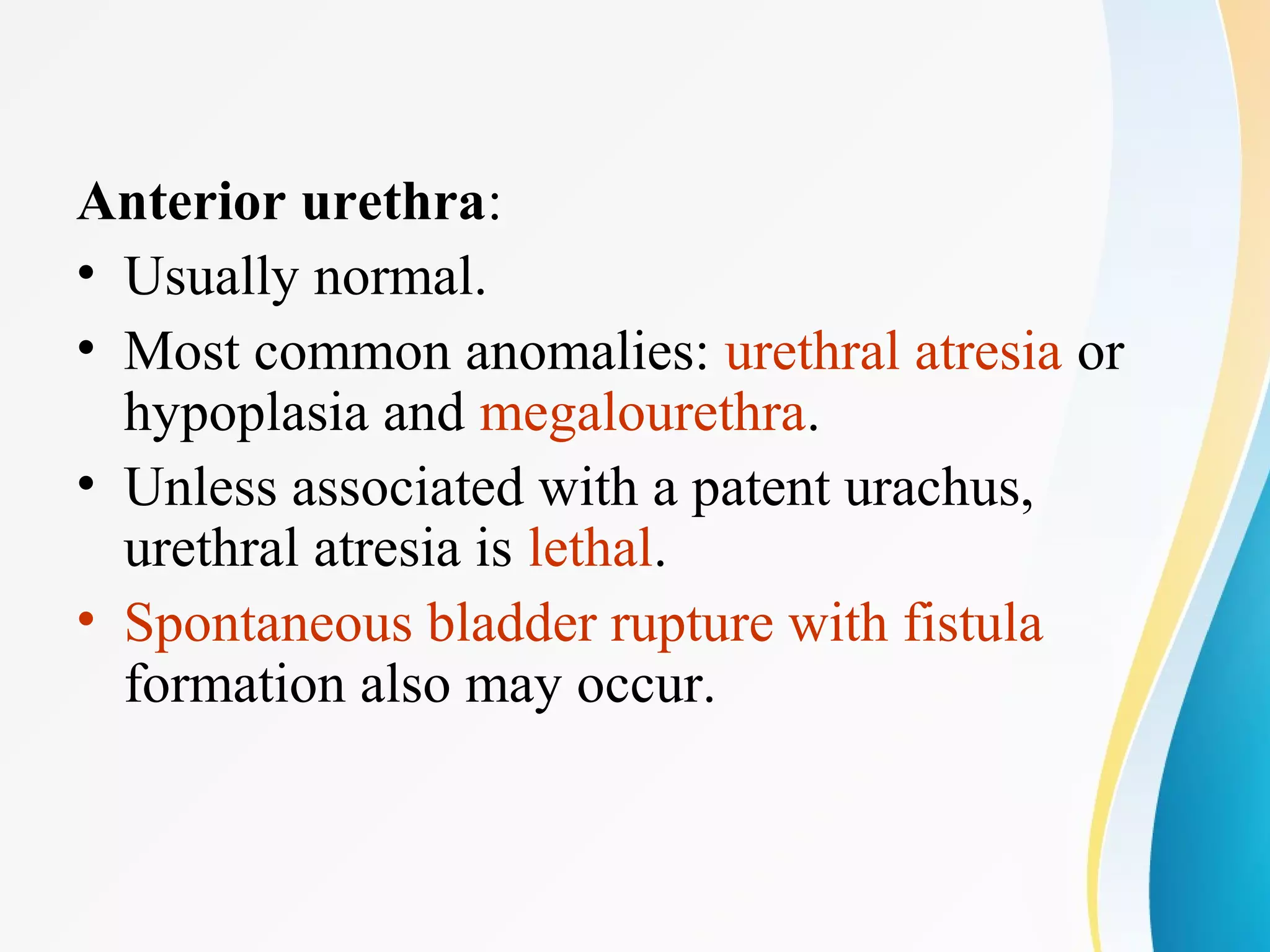 Prune belly syndrome | PPT