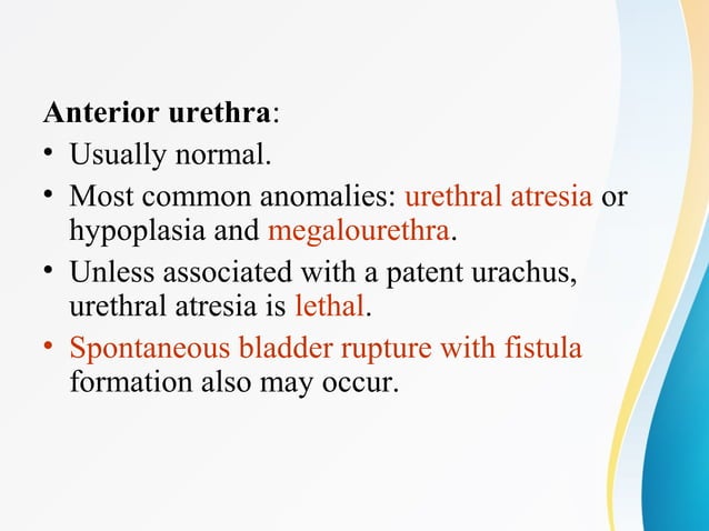 Prune belly syndrome | PPT | Pregnancy | Reproductive Health