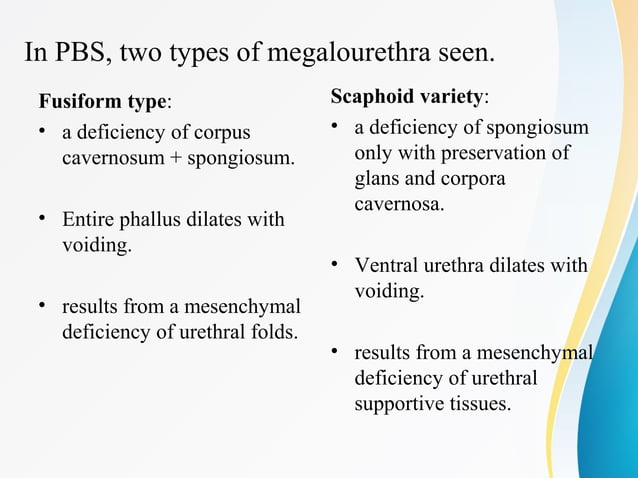 Prune belly syndrome | PPT | Pregnancy | Reproductive Health