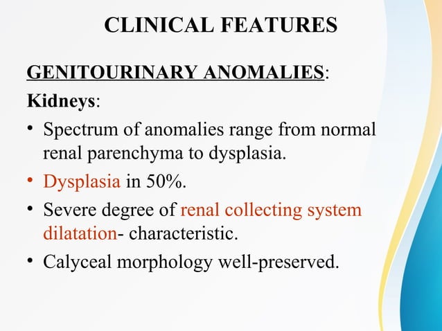 Prune Belly Syndrome Ppt
