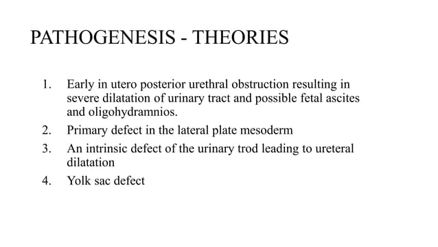 A ppt about the Prune Belly Syndrome.pptx