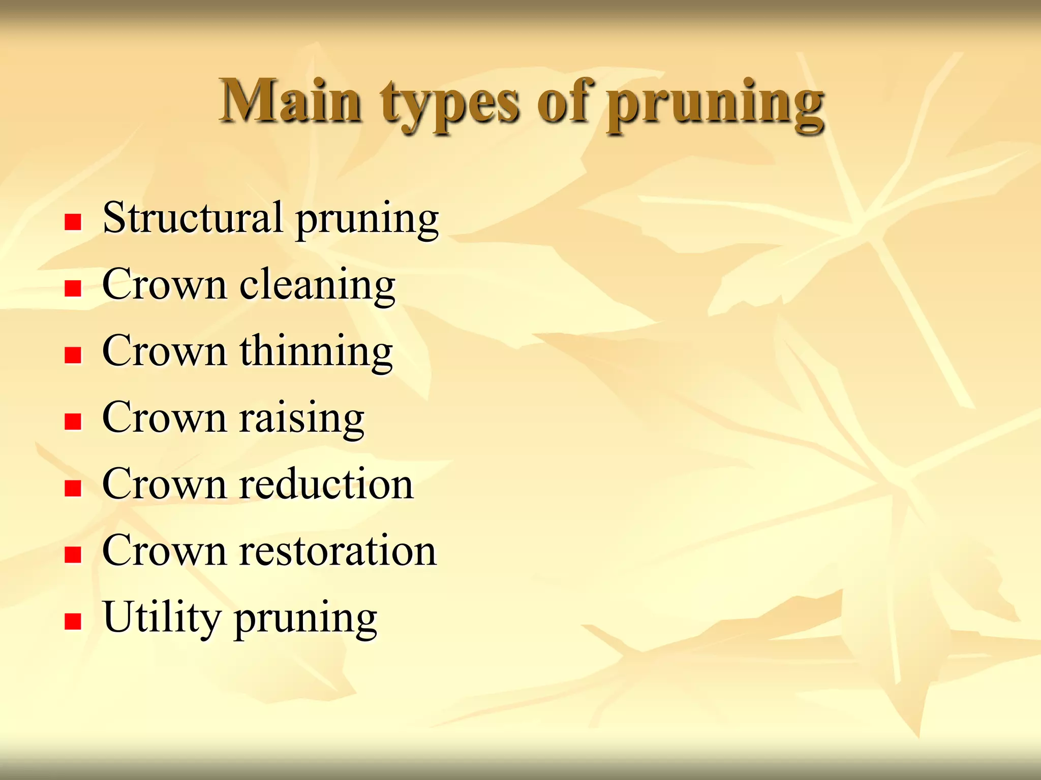 Pruning | PPTX