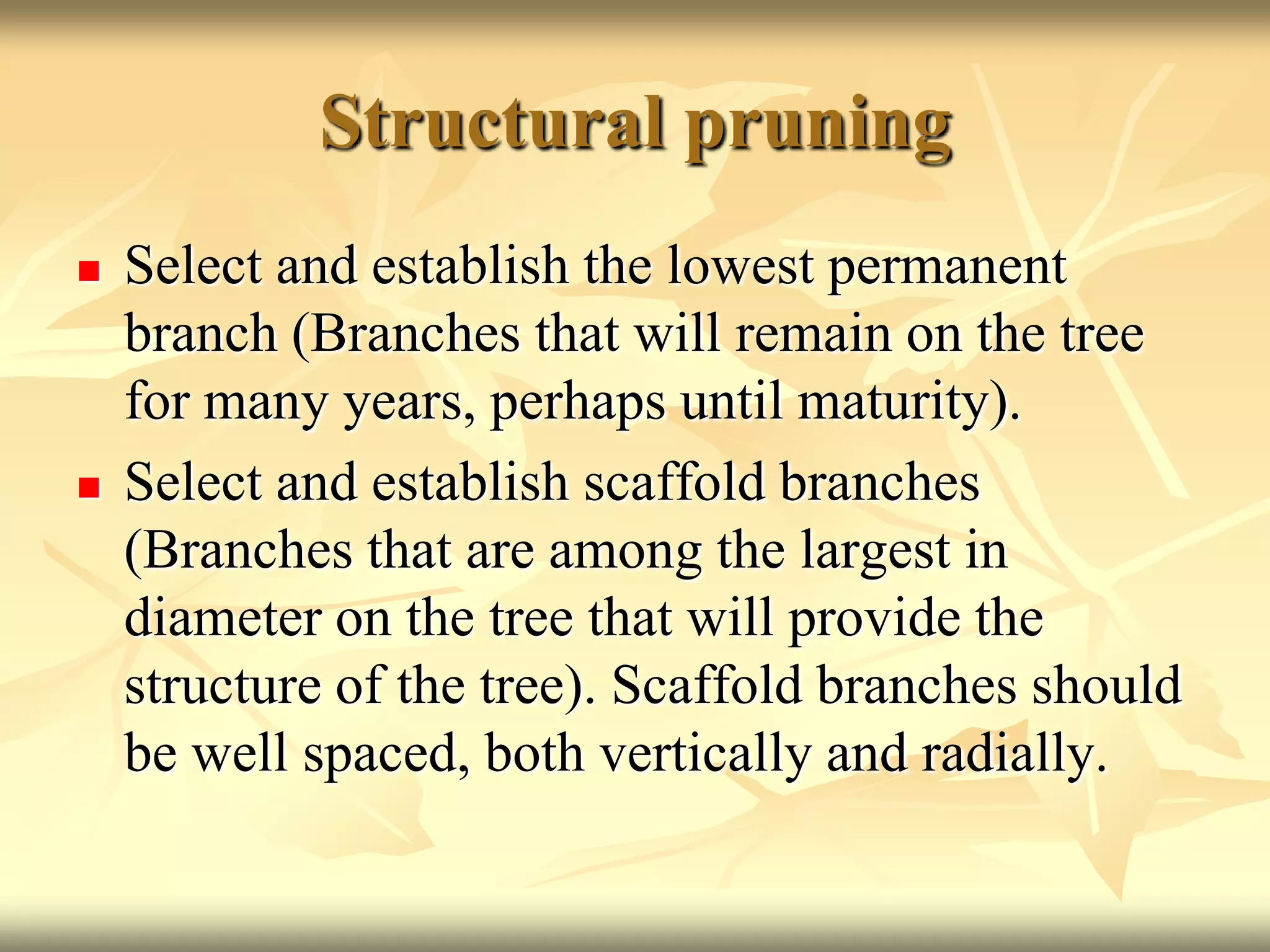 Pruning | PPTX