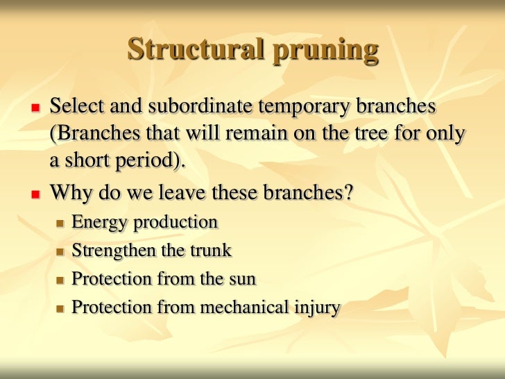Pruning