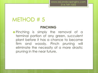 Pruning Your Shrubs | PPT