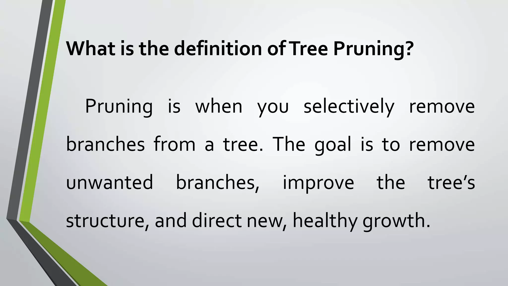 PRUNING.pptx