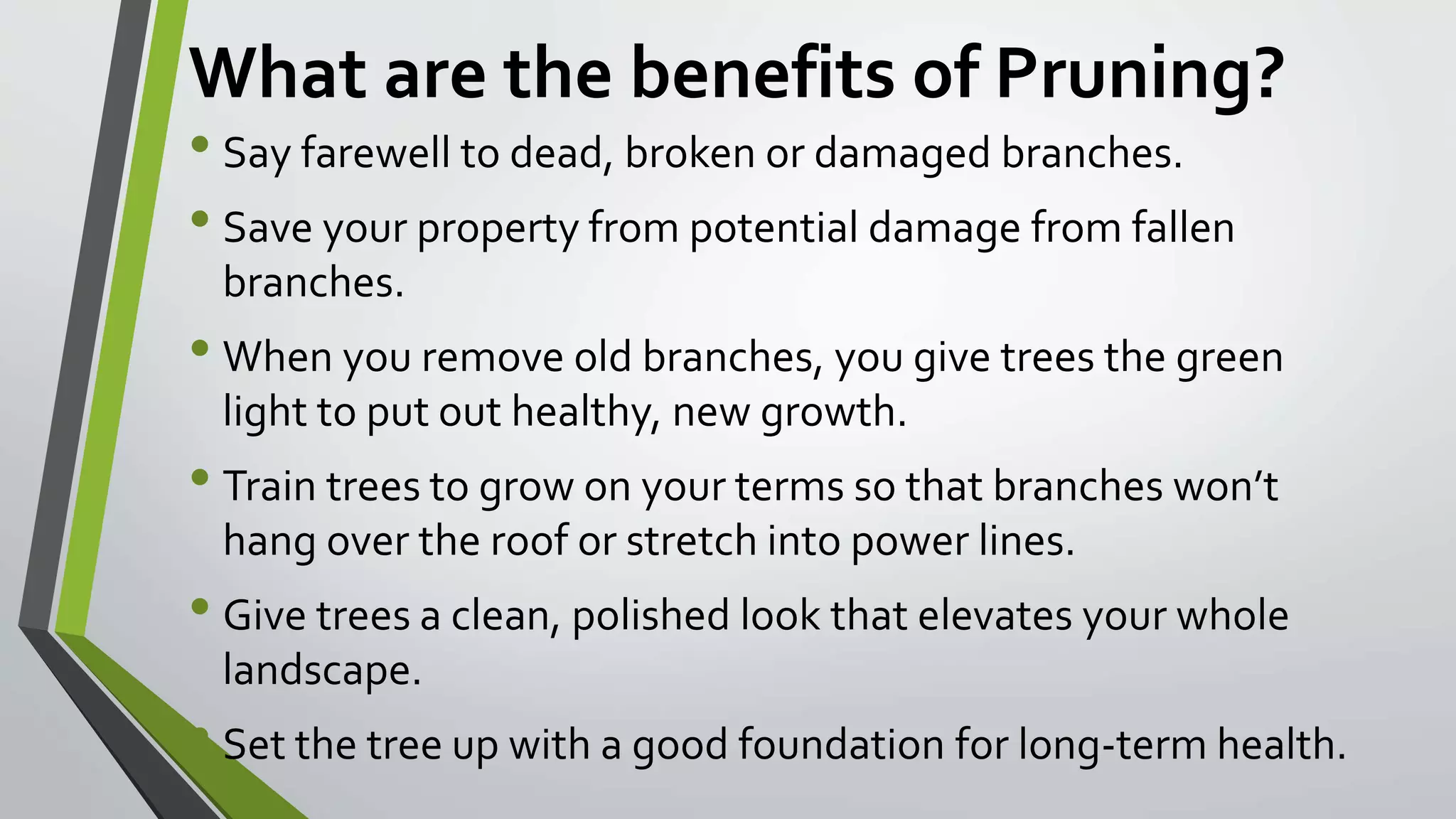 PRUNING.pptx