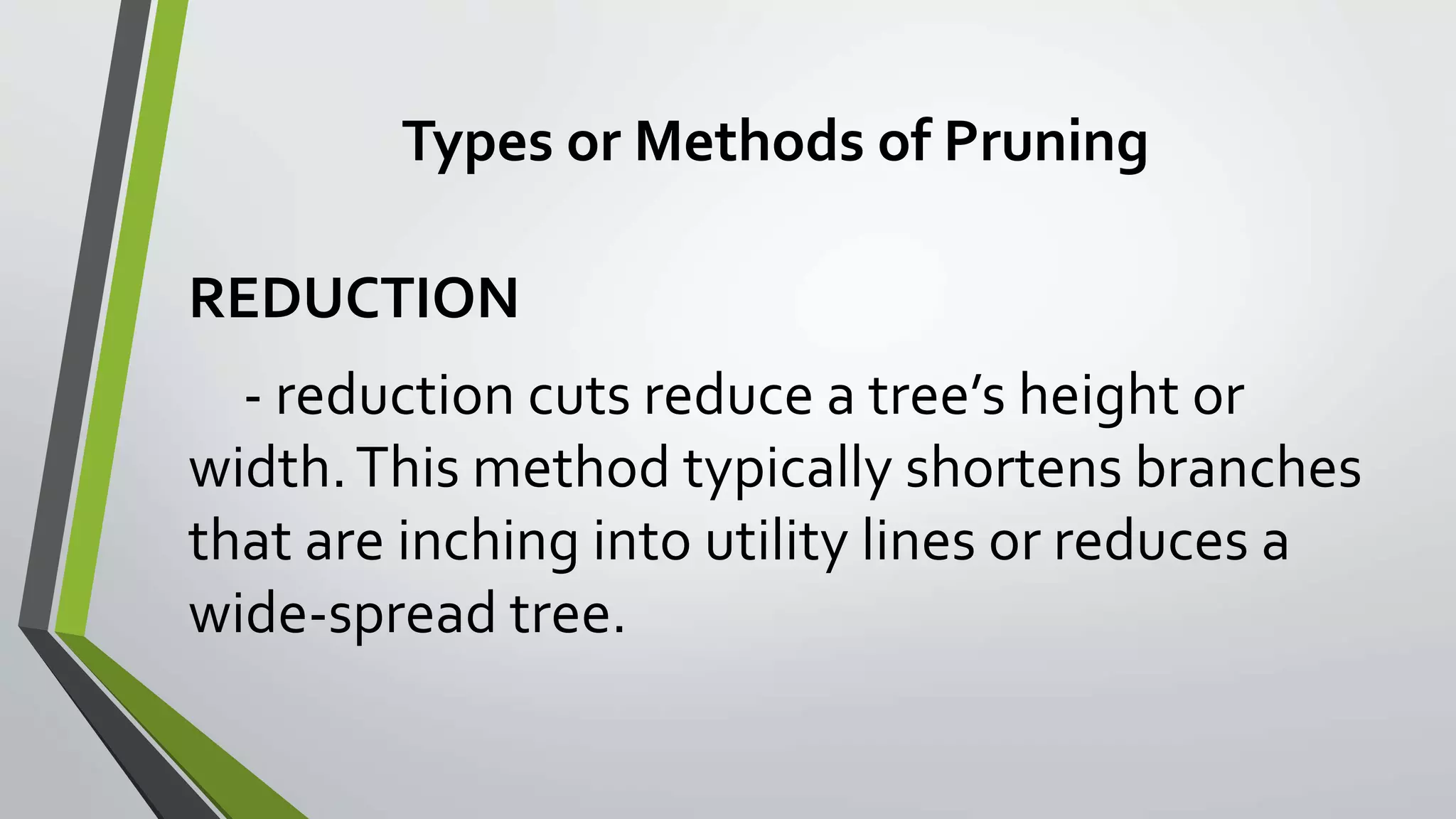 PRUNING.pptx