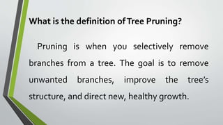 PRUNING.pptx