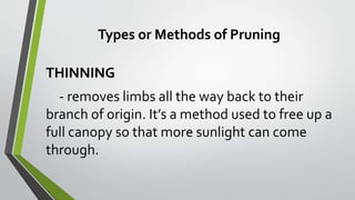PRUNING.pptx