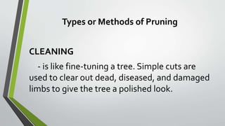 PRUNING.pptx