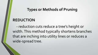 PRUNING.pptx