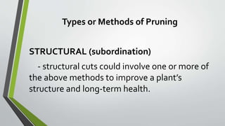 PRUNING.pptx | Agriculture | Industries