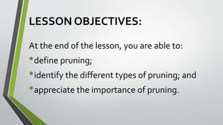 PRUNING.pptx