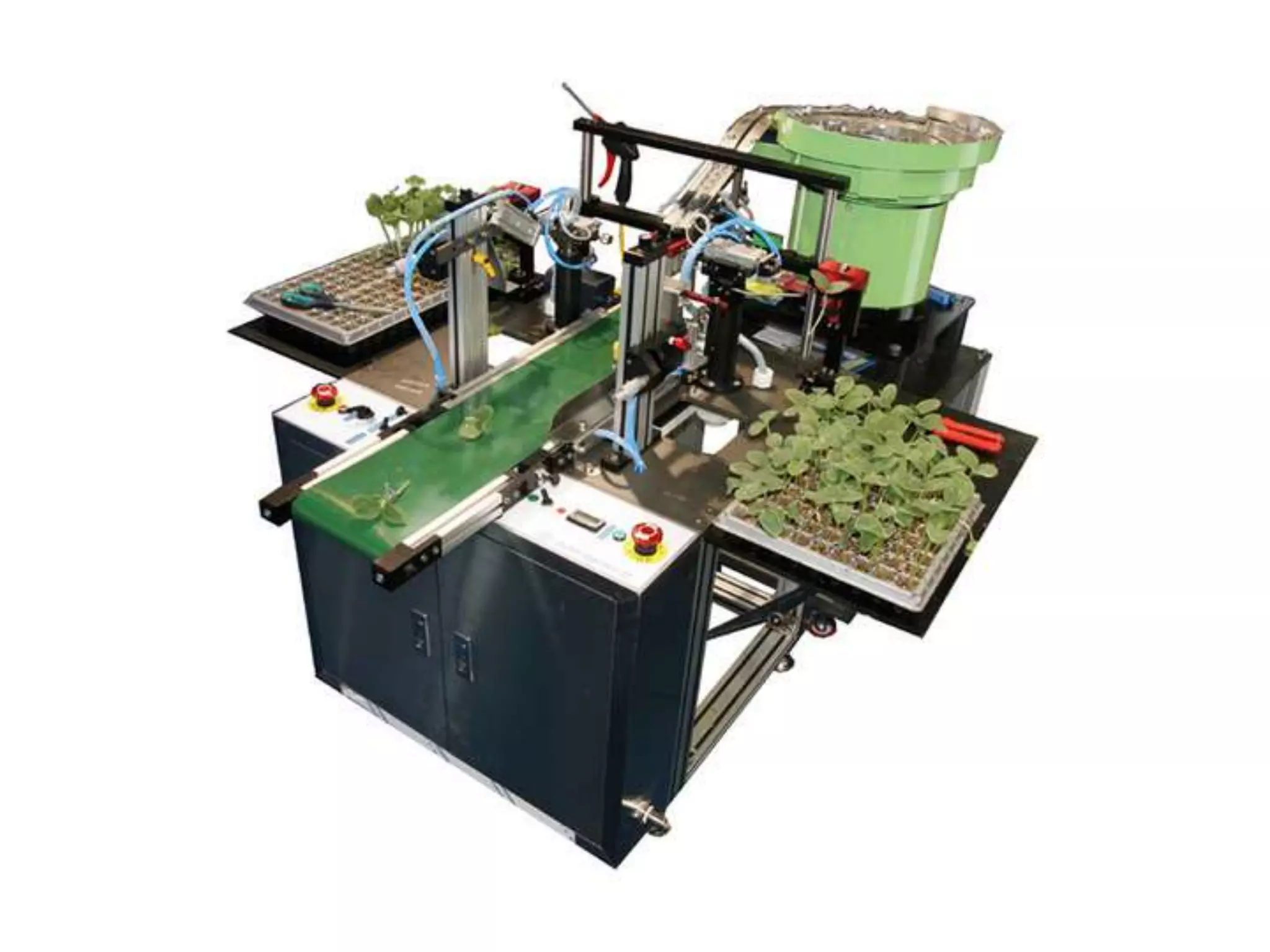 Pruning and grafting in vegetable crops | PPTX