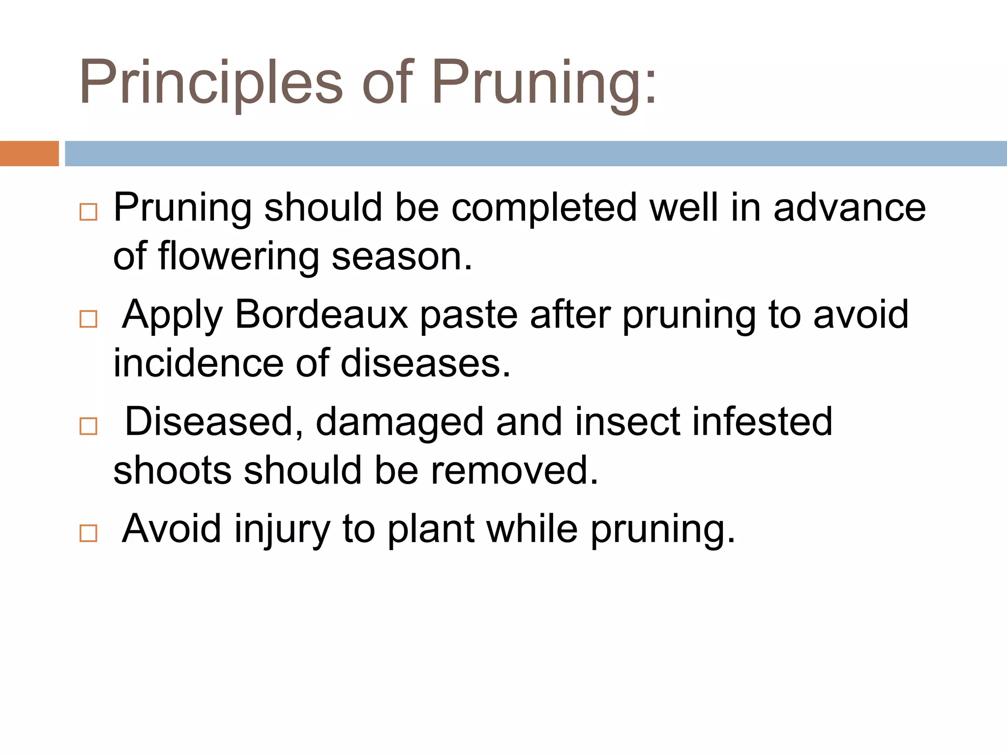 Pruning and grafting in vegetable crops | PPTX