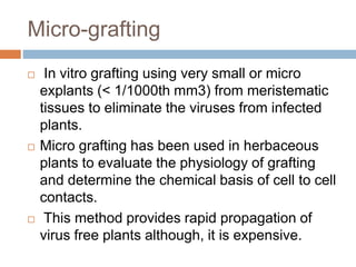 Pruning and grafting in vegetable crops | PPTX