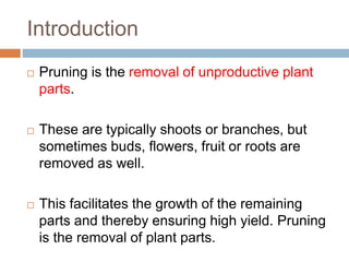 Pruning and grafting in vegetable crops | PPTX