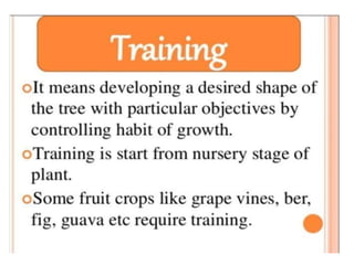 Pruning and training | PPTX