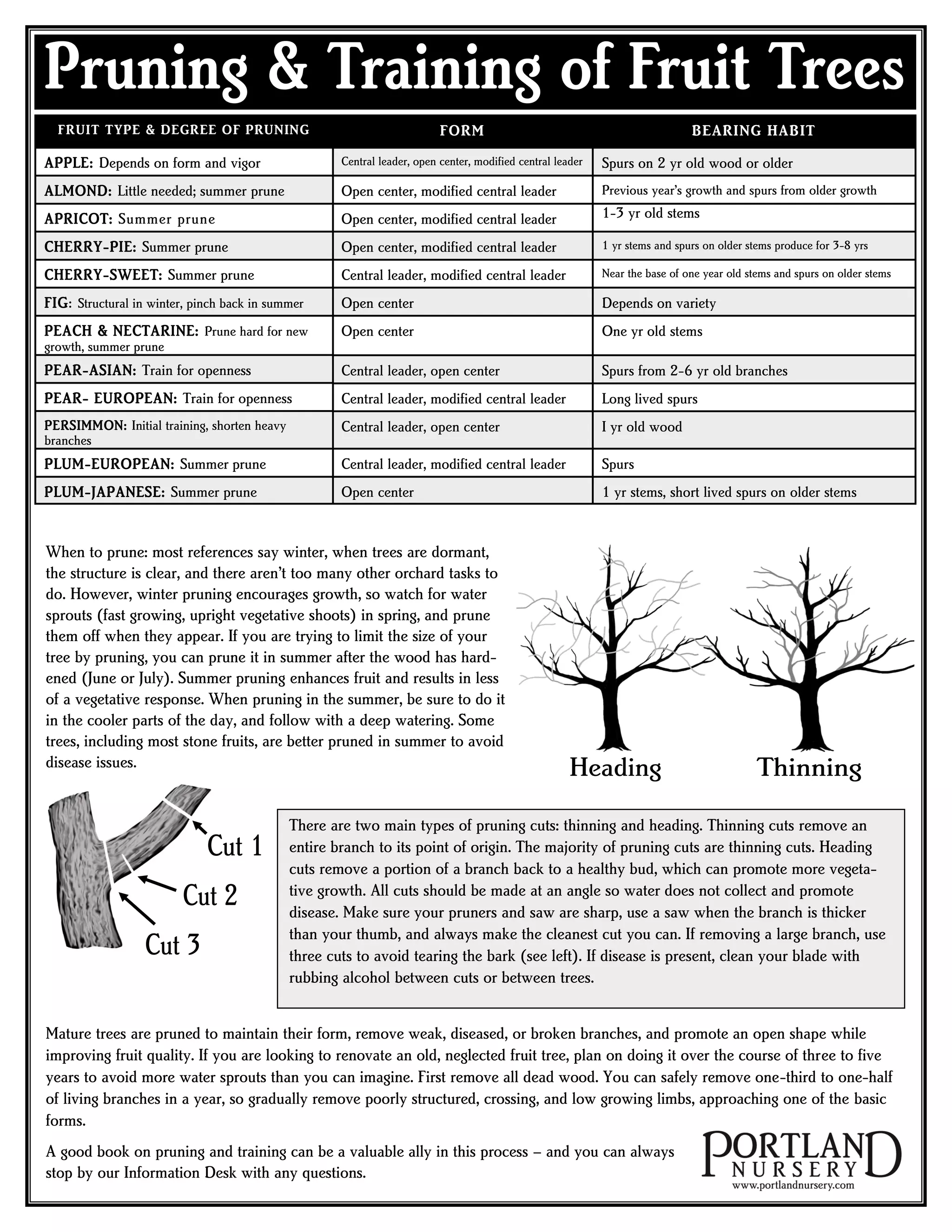 Pruningand trainingfruittrees | PDF