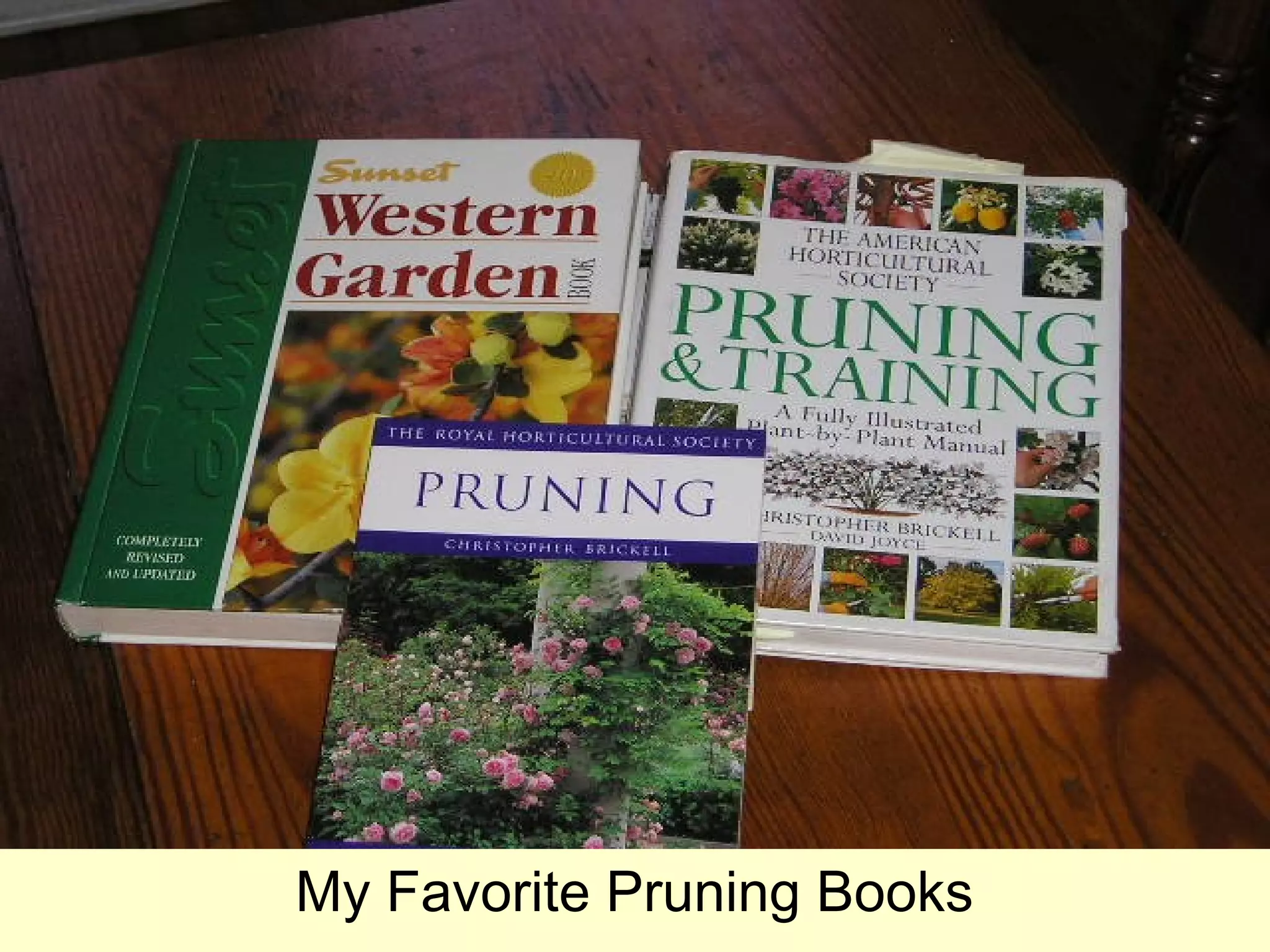 Grow Your Own, Nevada! Spring 2012: Training and Pruning Fruit Trees | PPT