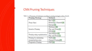 Pruning methods for person reidentification: A Survey | PPTX