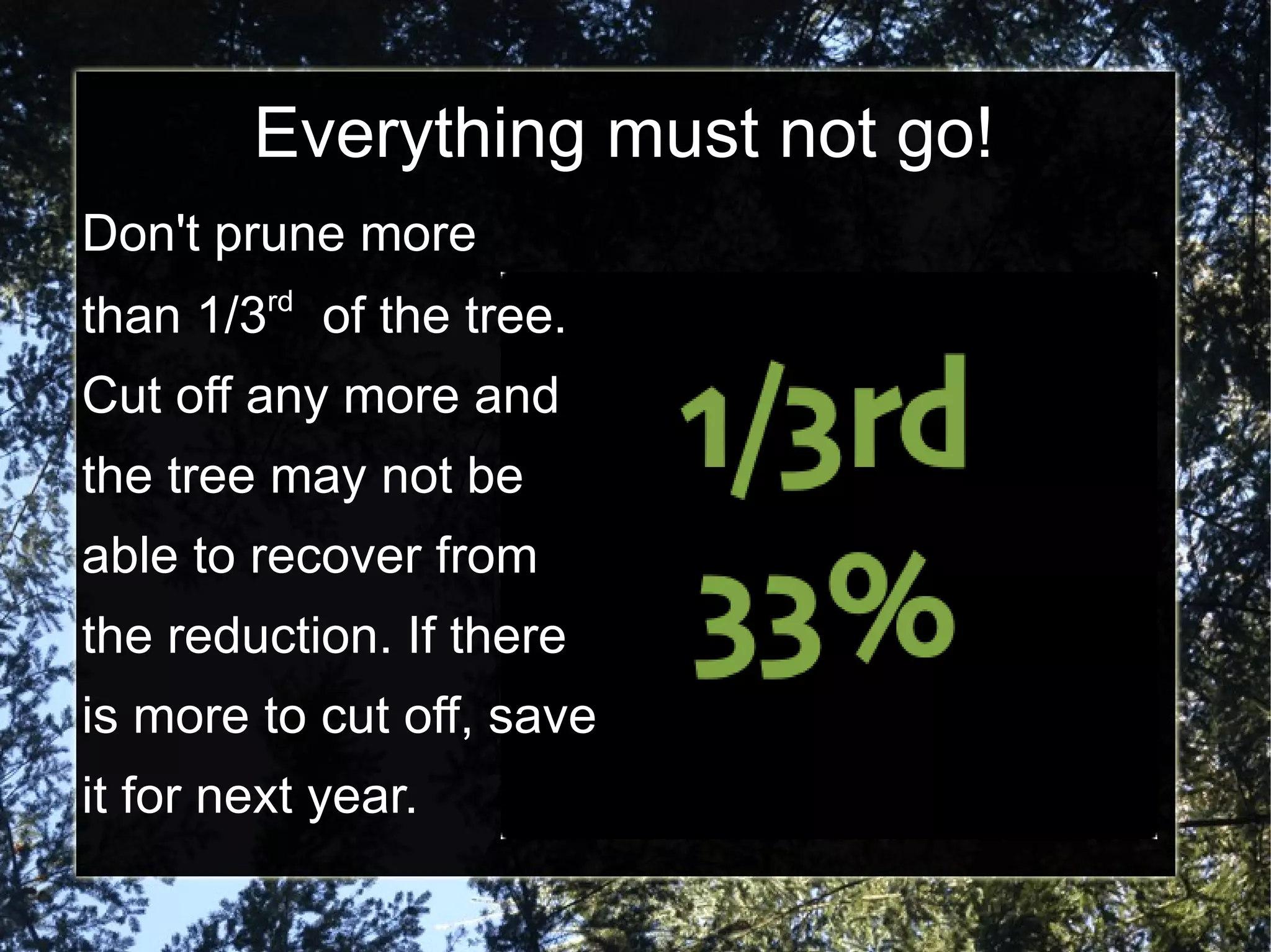 Pruning slideshow | ODP