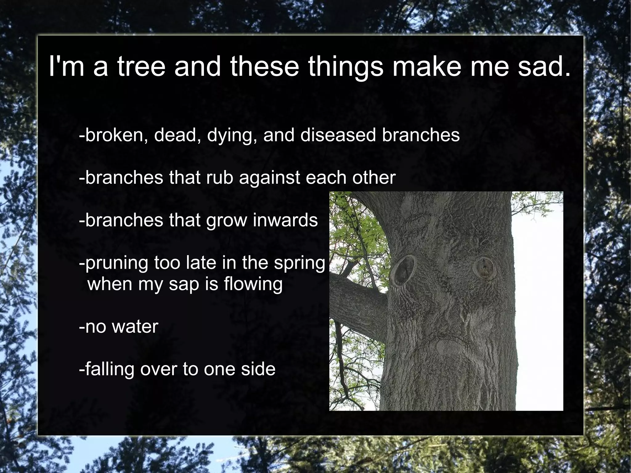 Pruning slideshow | ODP