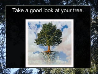 Pruning slideshow | ODP