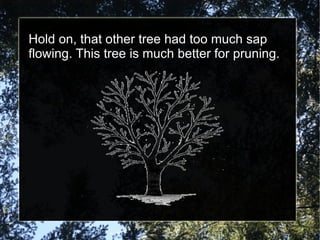 Pruning slideshow | ODP