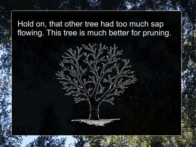 Pruning slideshow | PPT