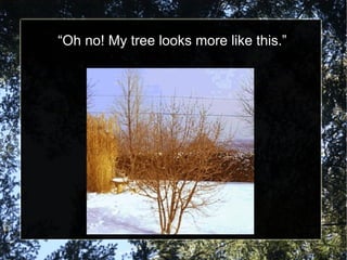 Pruning slideshow | ODP