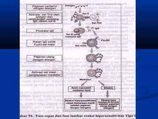 Prurigo hebra | PPT