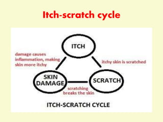 Pruritis or itching | PPTX