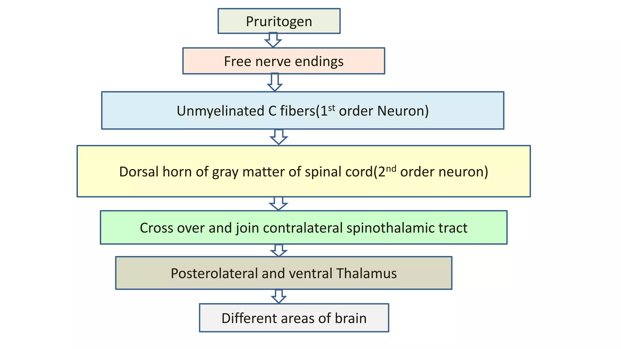 Pruritus and its mechanism | PPTX