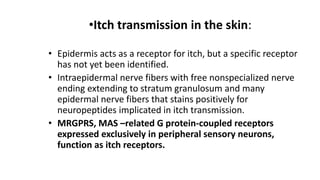 Pruritus and its mechanism | PPTX
