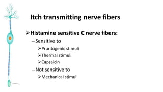 Pruritus and its mechanism | PPTX