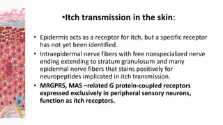 Pruritus and neurocutaneous dermatoses | PPTX