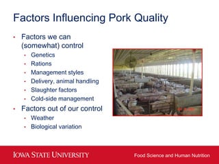Dr. Kenneth Prusa - Feeding for Pork Quality: Impacts of DDGS | PPTX
