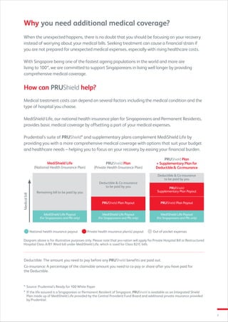 Prushield e brochure_english (23) | PDF