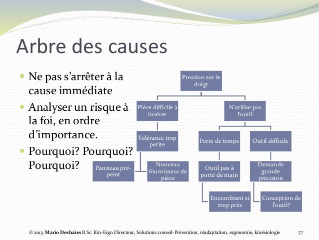 Arbre Des Causes